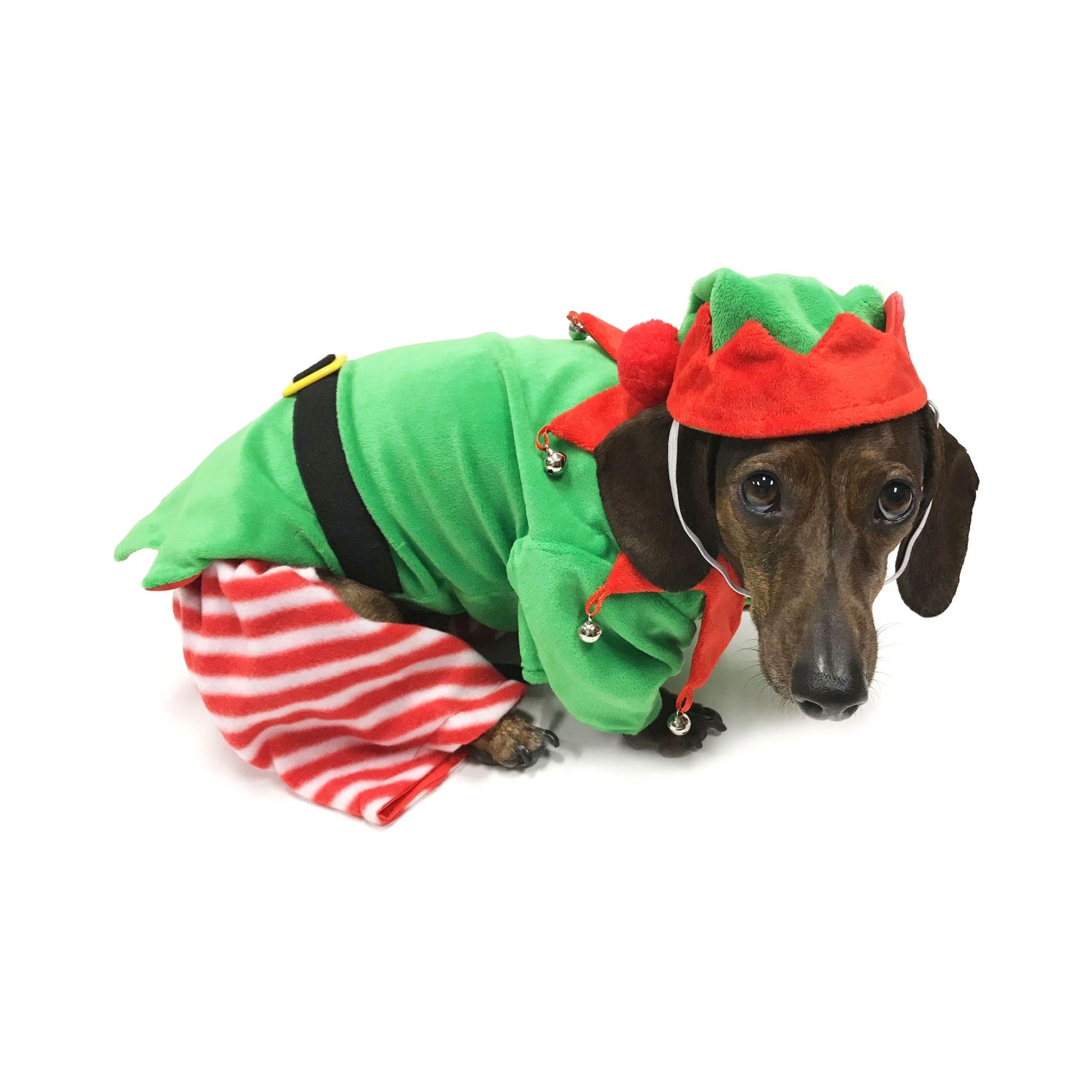 Midlee Dog Elf Costume – Omorog Raw Pet Food